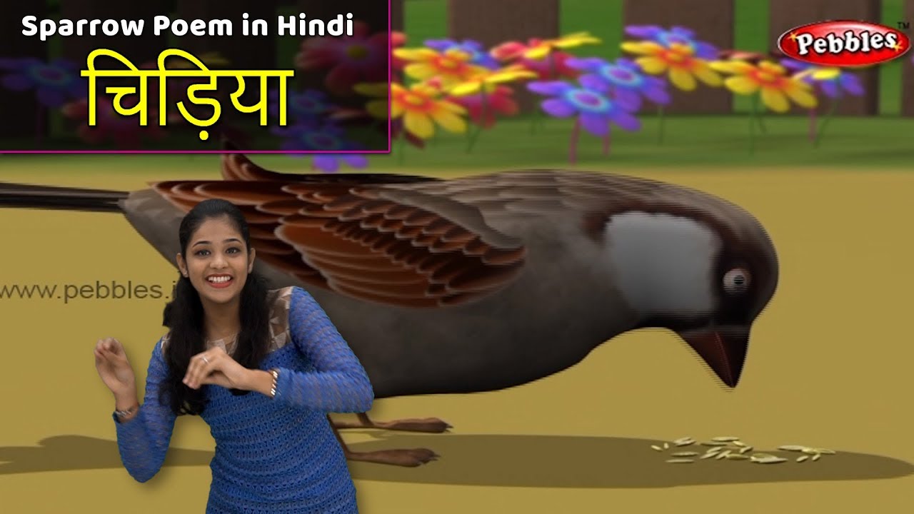 Sparrow Action Song | Sparrow Rhyme Hindi | Sparrow Poem | Hindi Rhymes ...