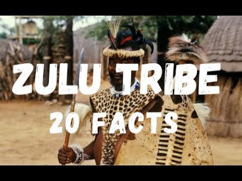 20 Facts You Should Know About the Zulu People - YouTube