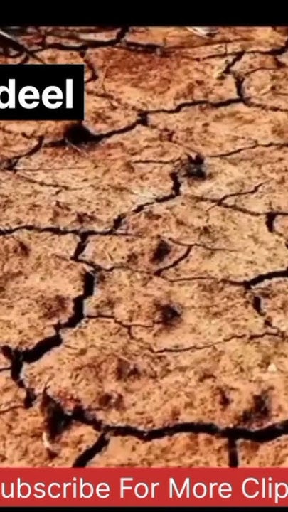 the Miracle of soil # creation mankind from soil # embryology - YouTube