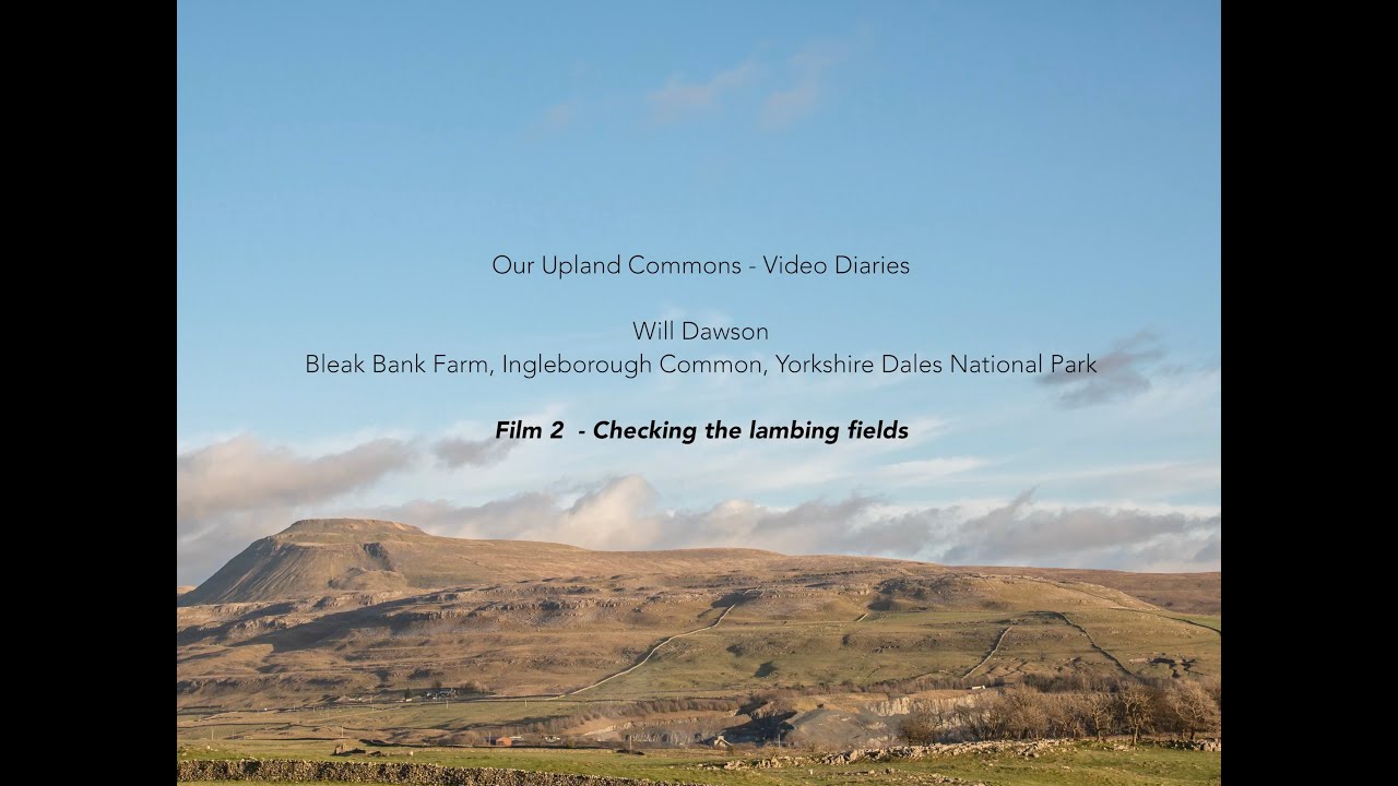 Video Diary, Will Dawson, Bleak Bank Farm. Film 2 - Checking the ...
