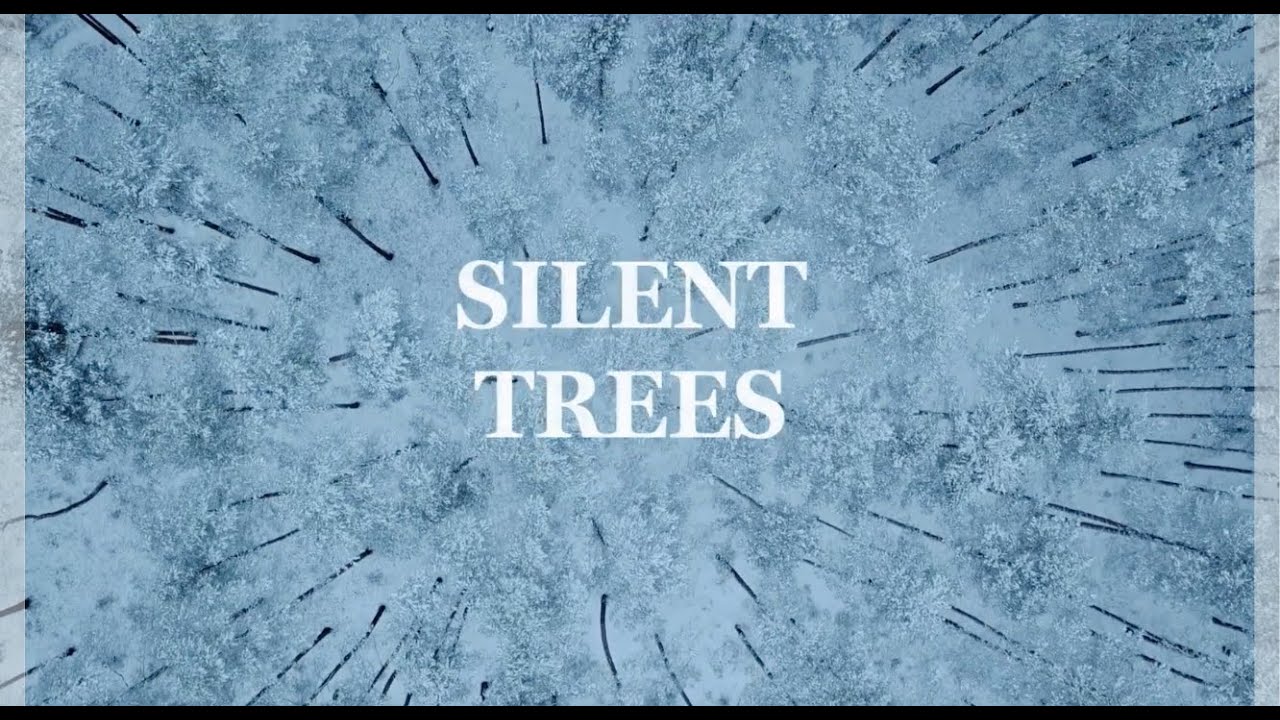 Drzewa milczą | Silent Trees | Sirens - YouTube