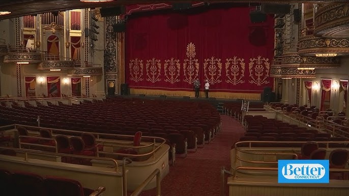 Cadillac Palace Seating Chart | Cabinets Matttroy