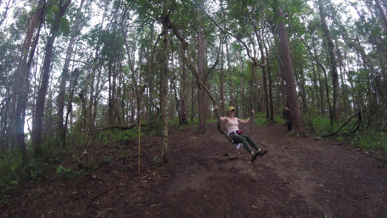 Autumn Vine Swing - YouTube