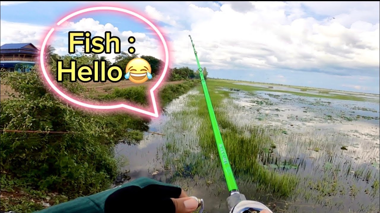 Catch small fish 😂😂 - YouTube