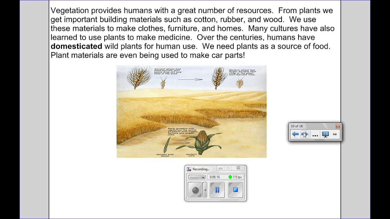 Grade 7 Geography Lesson # 7 - YouTube