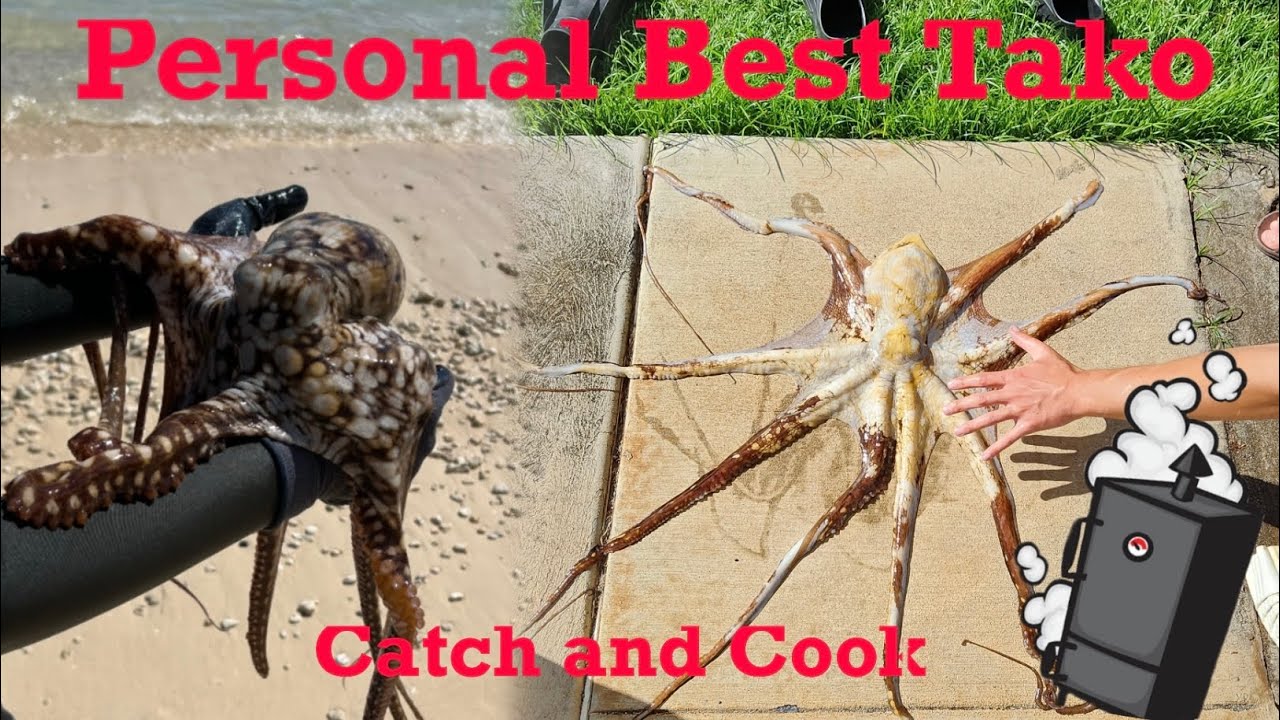 CATCHING MY BIGGEST TAKO || Tako Diving in Hawaii - YouTube