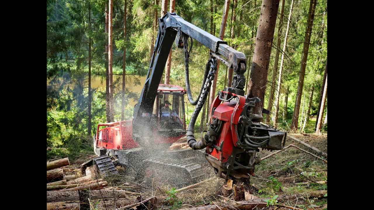 🌲4K|*SNAKE* Komatsu 911.4 X3M • rare machine • Komatsu Logging ...