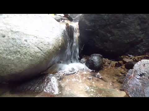 NAFF BAND FULL ALBUM - YouTube