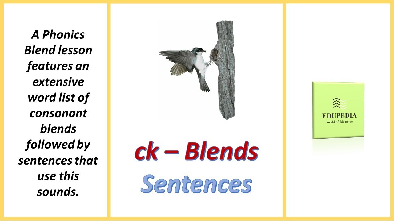 Phonics Blends "ck" Family English Sentences EP-5 #shorts #education ...