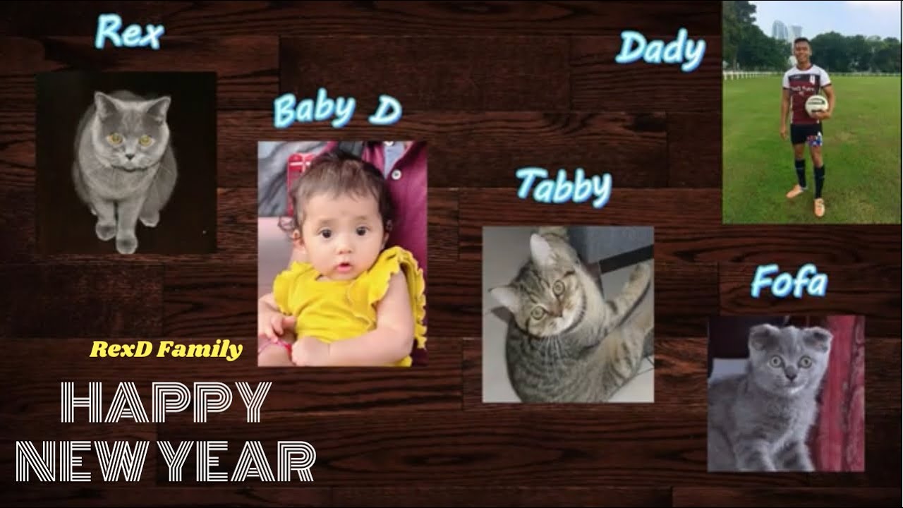COMPILATION REXD FAMILY 2020 I HAPPY NEW YEAR 2021 - YouTube