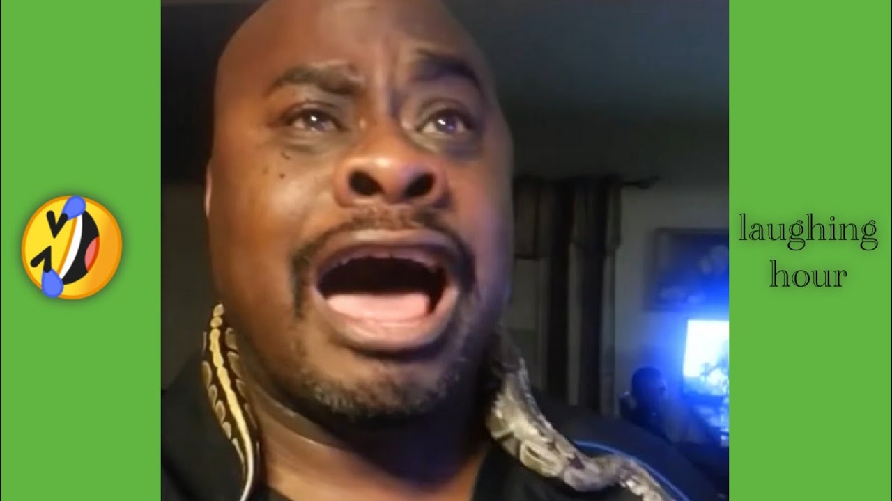 funny video compilation!! new funny videos 2021ll laughing hour!! - YouTube