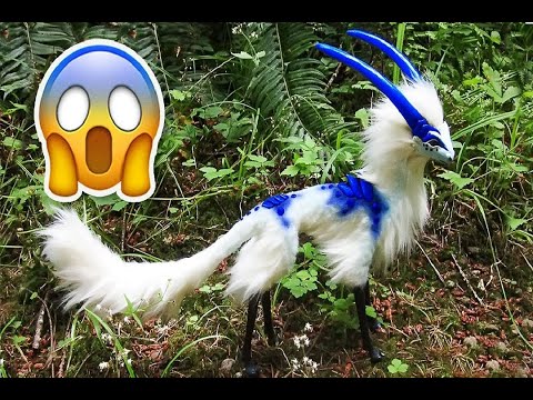 Acayip bir hayvan- Doğal yaşam alanında-A strange animal - in its natural habitat