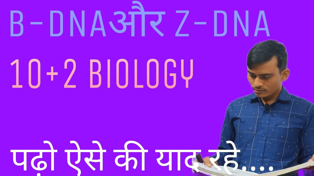 B-DNA और Z-DNA || B-form and Z-form DNA मे अन्तर || NCERT Biology 10+2 ...