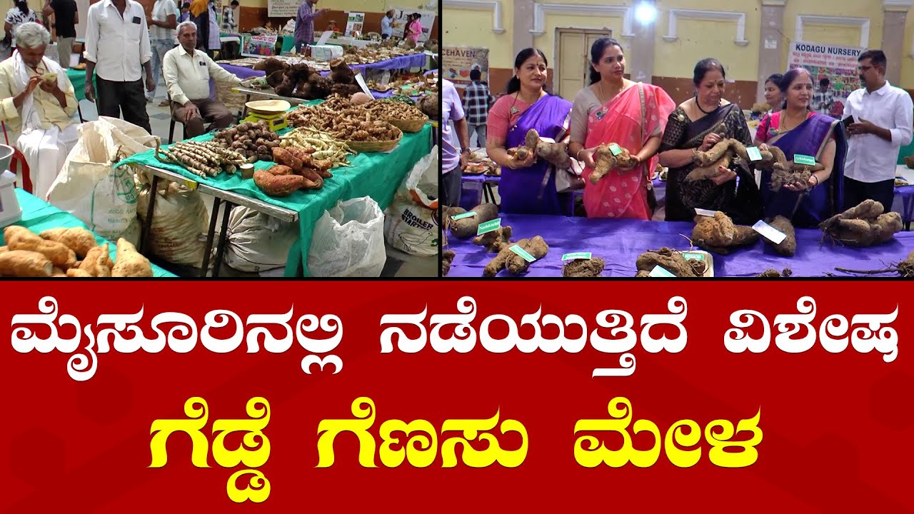 Gedde Genasu Mela in Mysuru | Roots and Tuber Mela | ಮೈಸೂರಿನಲ್ಲಿ ...
