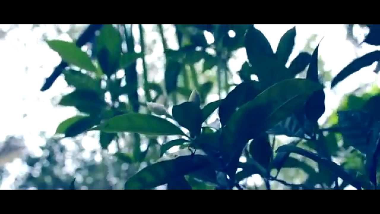 Short Clip using Canon 600D (18-55 kit lens) - YouTube