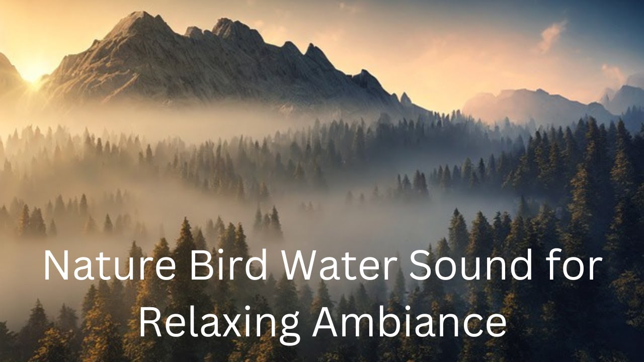 Unlocking the Beauty of Bird Water Sounds#relaxation#water#birds - YouTube