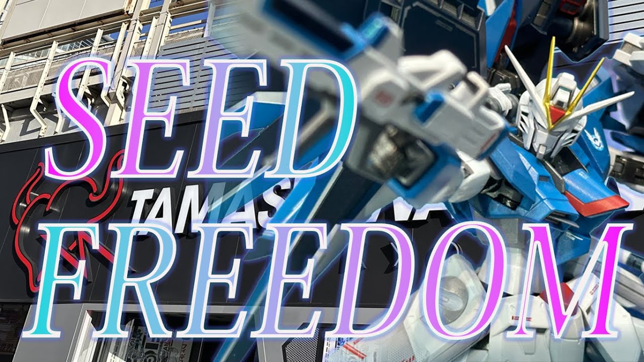 SEED FREEDOM 特集 in 魂NATIONS - YouTube
