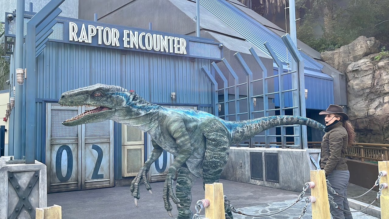 Raptor Encounter - Velociraptor Blue - Universal Studios Hollywood ...