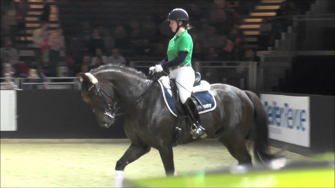 2017.03.19 Live-Training bei Isabell Werth Lena Backes auf Fioretto ...