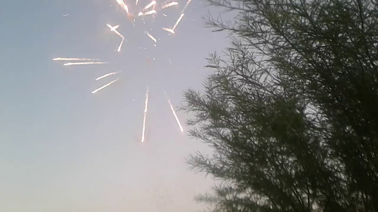 FIREWORKS CAUSED ALL THE CARS TO FREAK OUT - YouTube