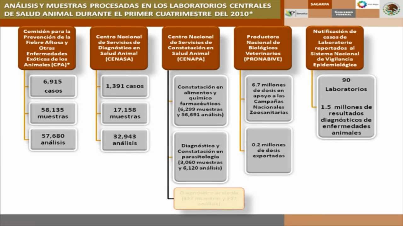 Dirección General de Salud Animal - MVZ. Hugo Fragoso - YouTube