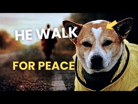 I Thought It Was Fake… Then The ALOKA “Monk Dog” Kept Walking 