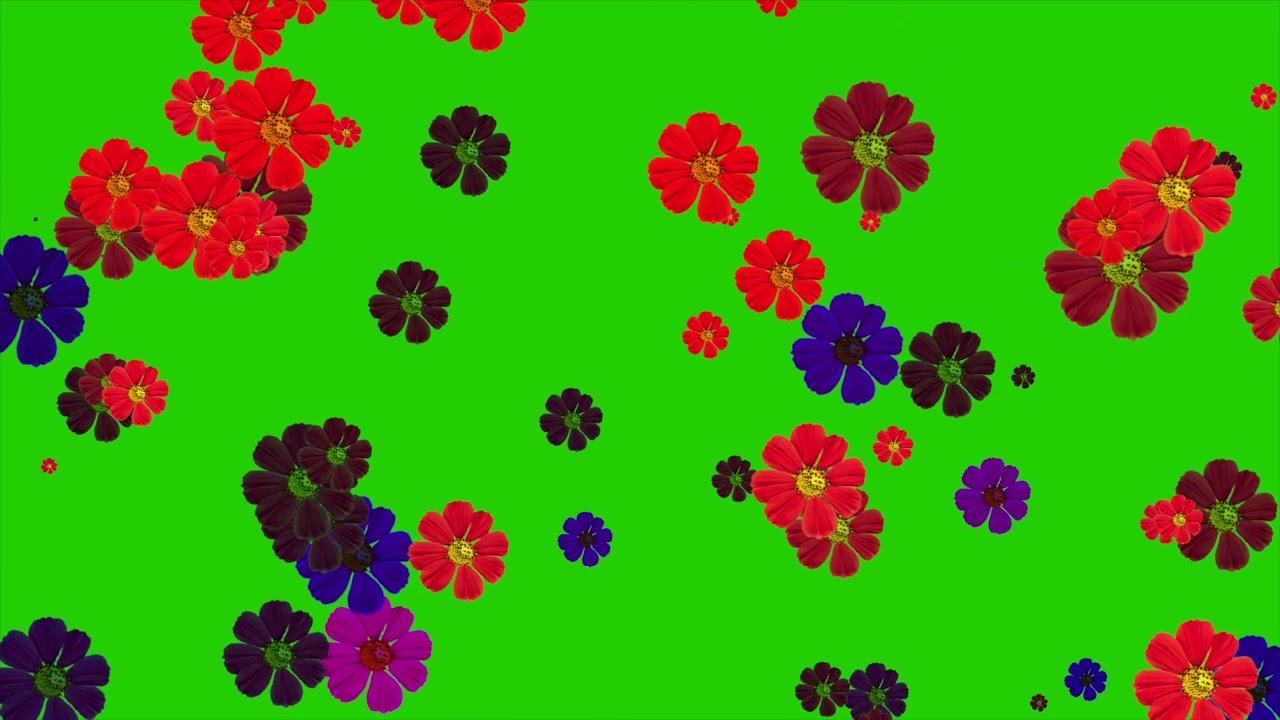 Colorful Flowers 🌺 🌸 💐 Falling Green Screen | Rain of flowers - YouTube