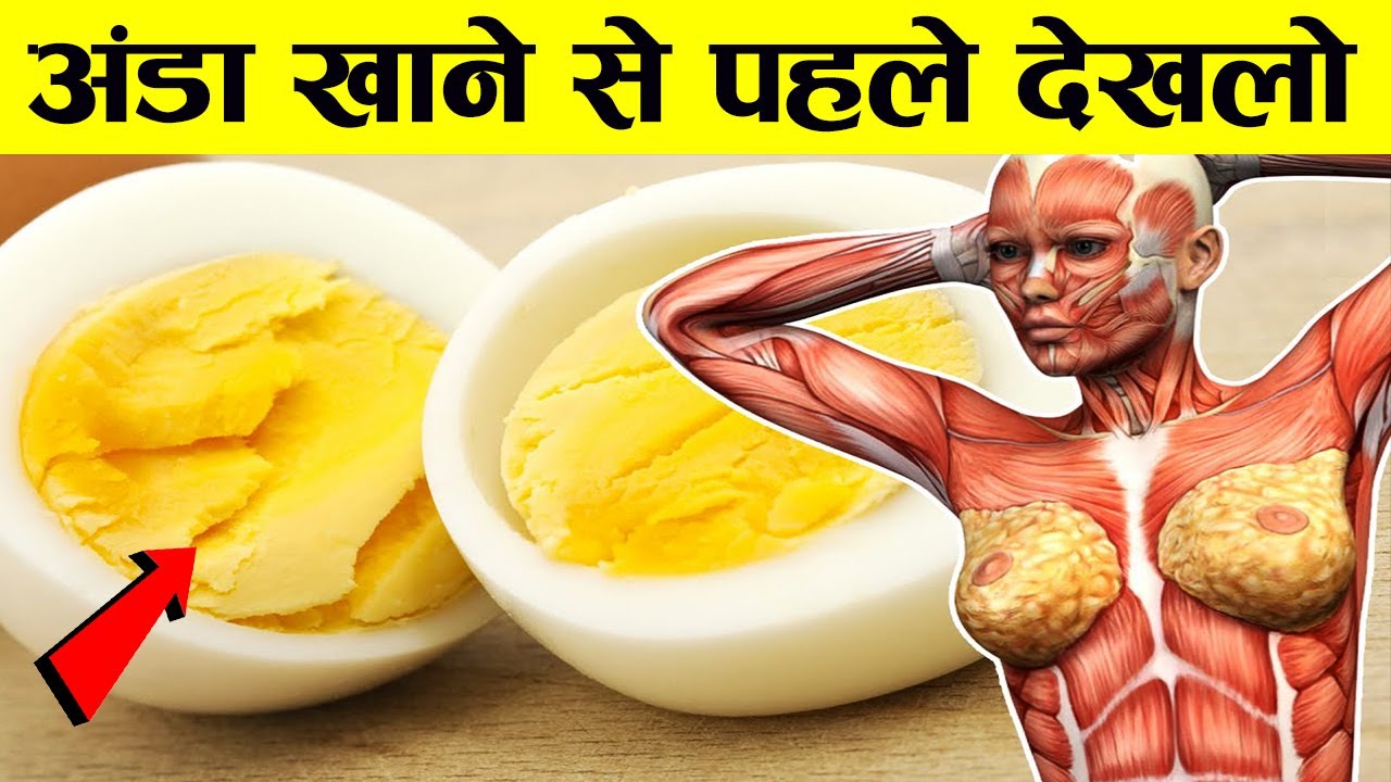 What Happens When You Eat Eggs Daily what-happens-when-you-eat-eggs-daily