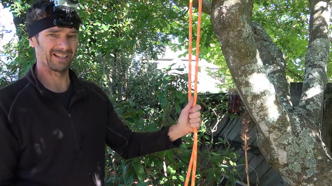 Basic Tree Climbing 02 - Blakes Hitch Tree Climbing System - YouTube