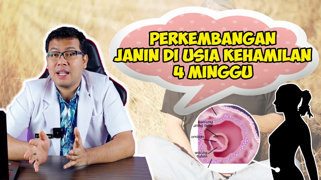 PERKEMBANGAN JANIN USIA KEHAMILAN 4 MINGGU - DOKTER SADDAM ISMAIL - YouTube
