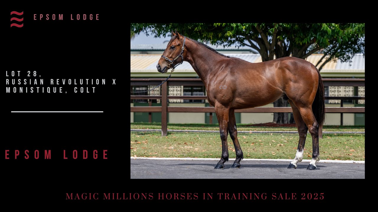 Lot 28 Russian Revolution x Monistique Colt from Epsom Lodge - YouTube