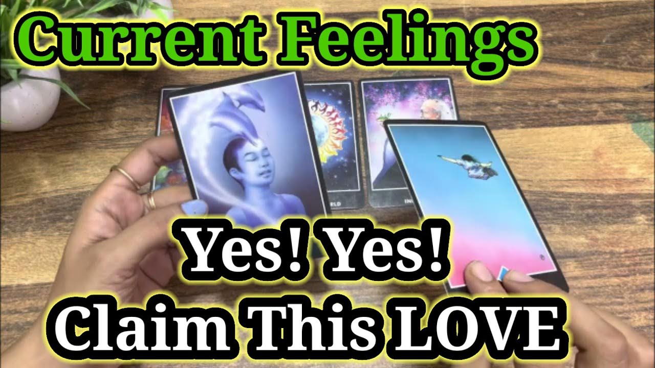 Yes ! Yes Claim This Love💓Current feelings💥No contact💔Pick A Card#lovereading #hinditarot# ...