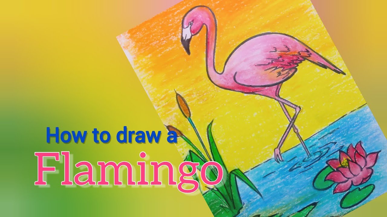 How to draw a Flamingo | Step by step drawing for beginners | Easy ...