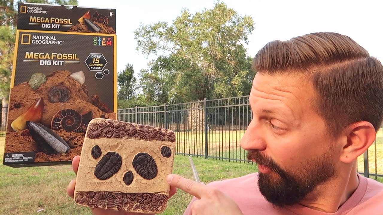 Digging Up Fossils In The Backyard & Eating Beans For Dessert! | Home ...