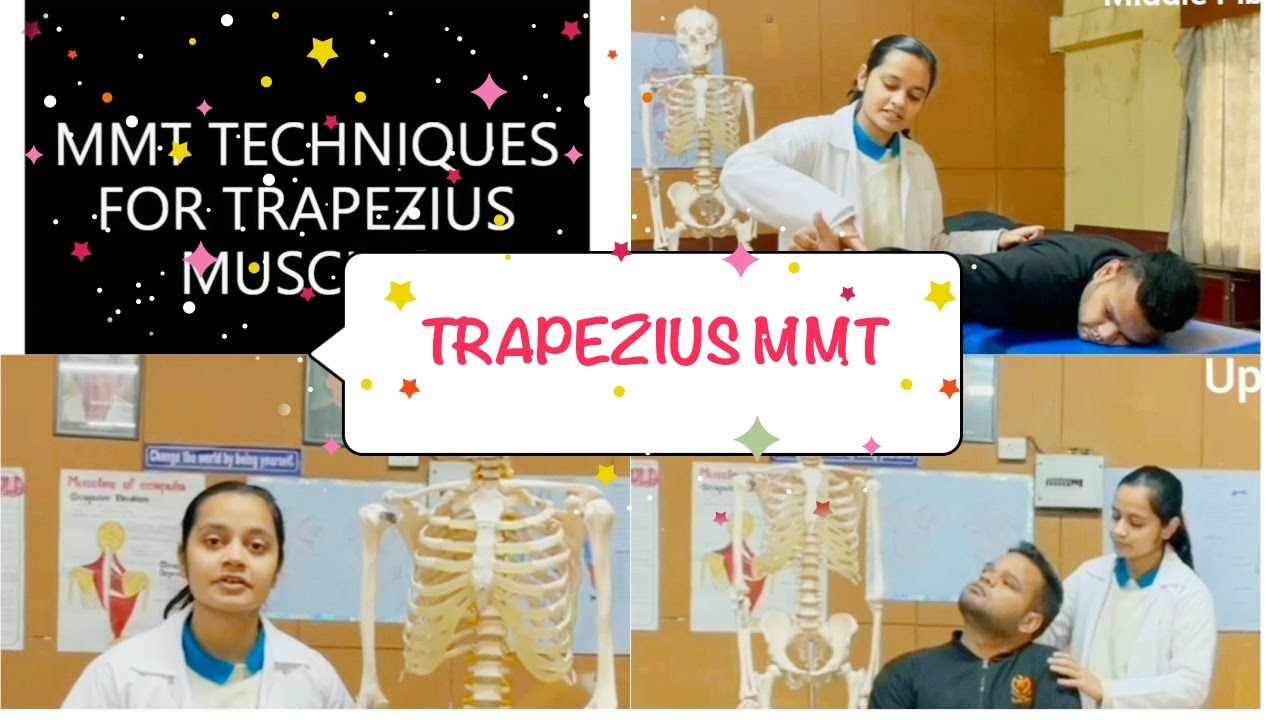 Trapezius MMT | Manual Muscle Testing | Physiotherapy | Bachelor of ...