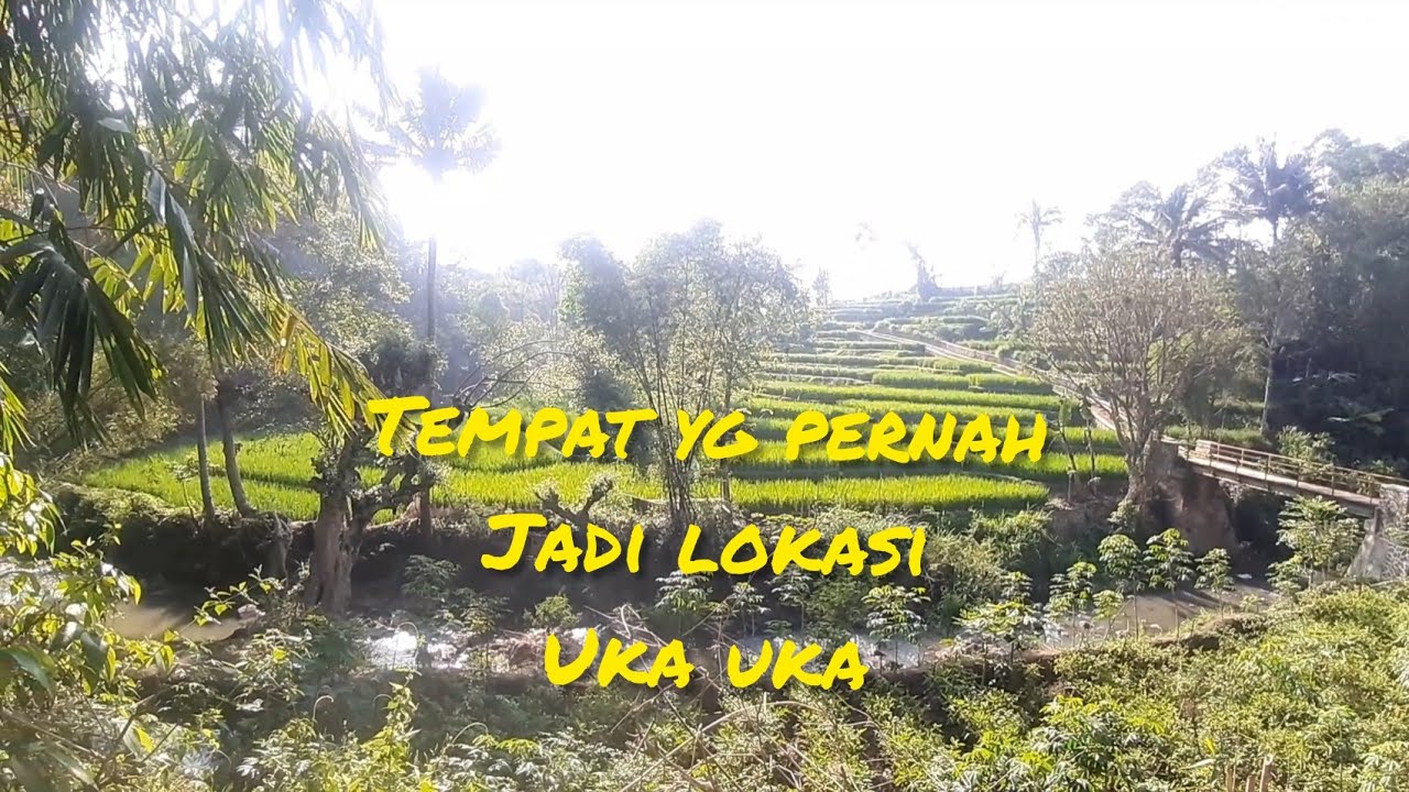 Kebon awi di kampung Cijelereun - YouTube