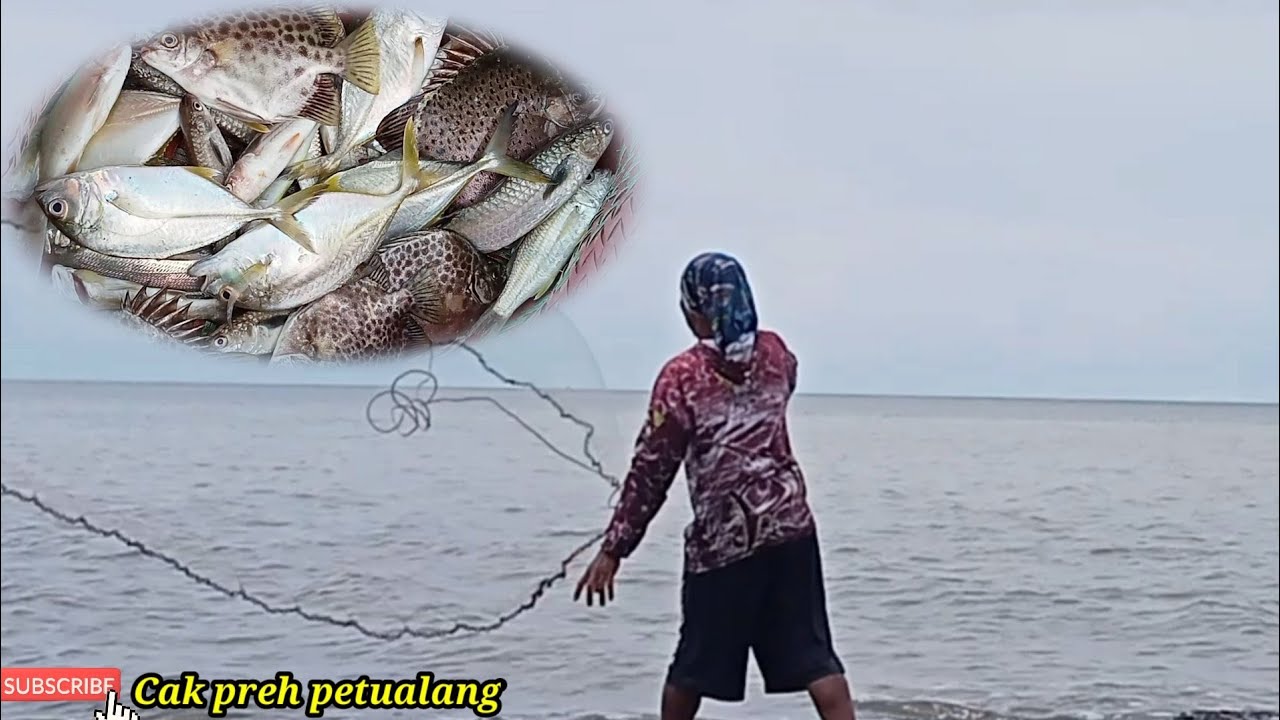 Menjala ikan pinggir pantai saat air surut - YouTube