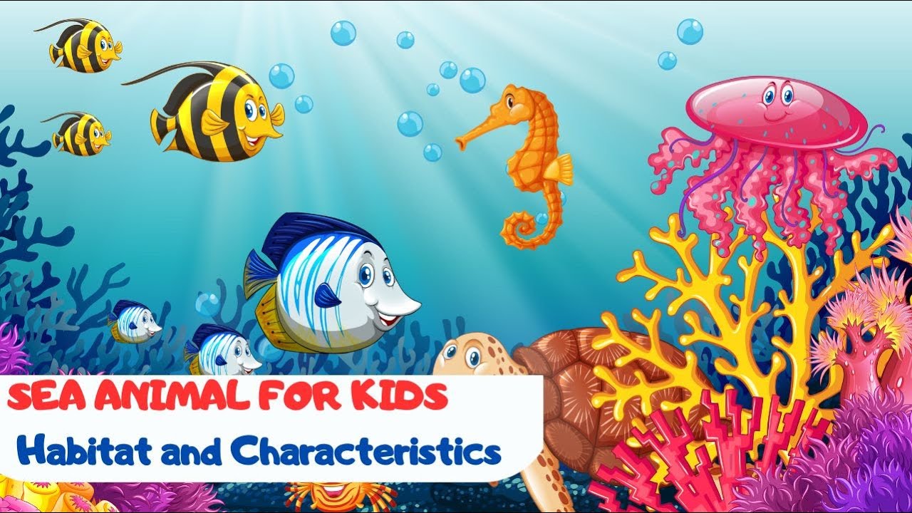 Fun and Educational Sea Animal Adventure for Kids - YouTube
