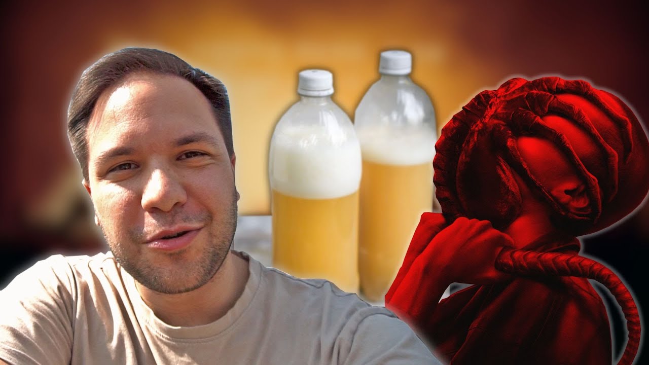 Epic Week: Alien Romulus, Concert Merch Hustle, & Brewing Ginger Beer ...