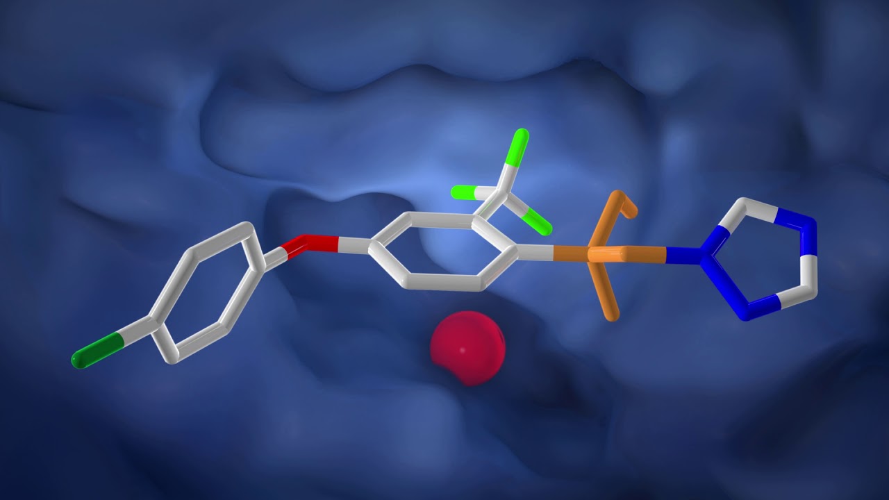 BASF Revysol Flexi Power EN - YouTube