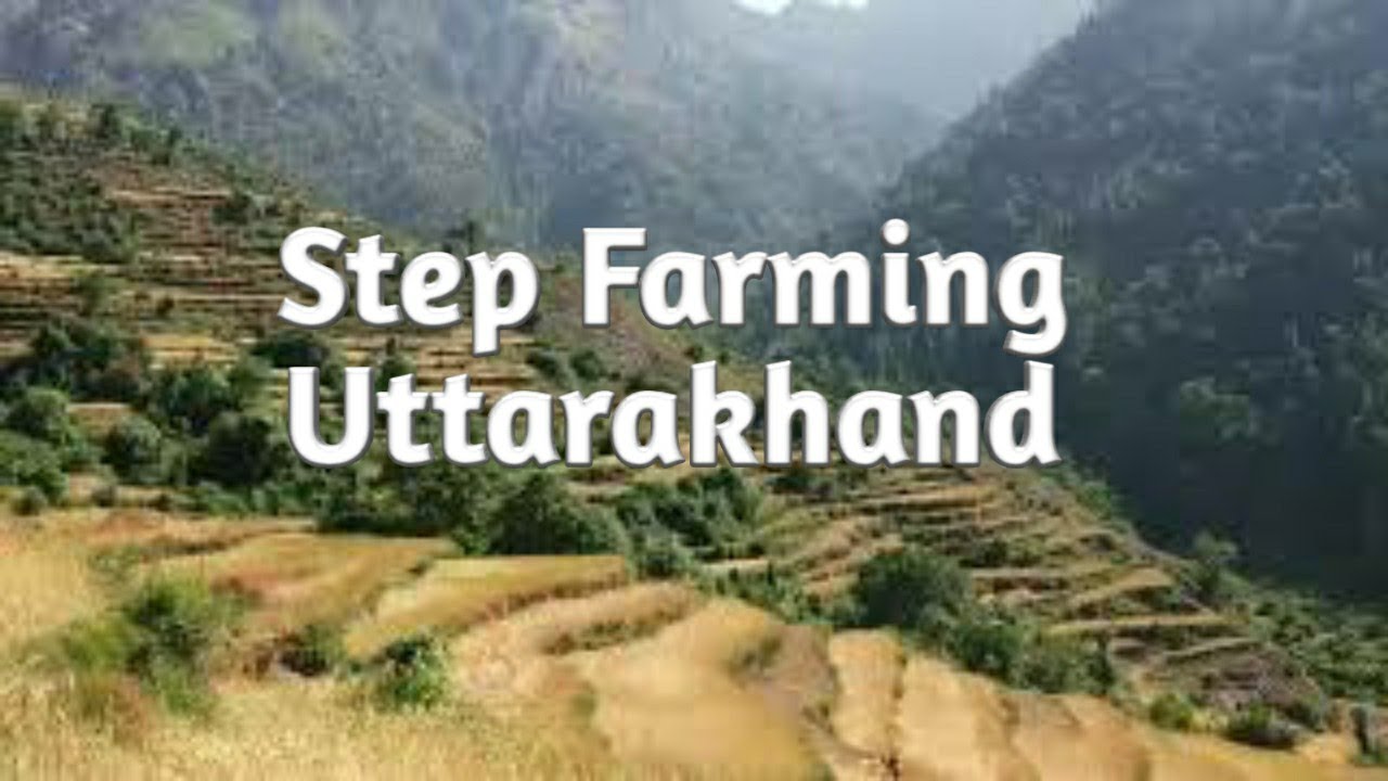 Step-Farming in Uttarakhand | Paithani | Pauri | India | Holy Devil ...