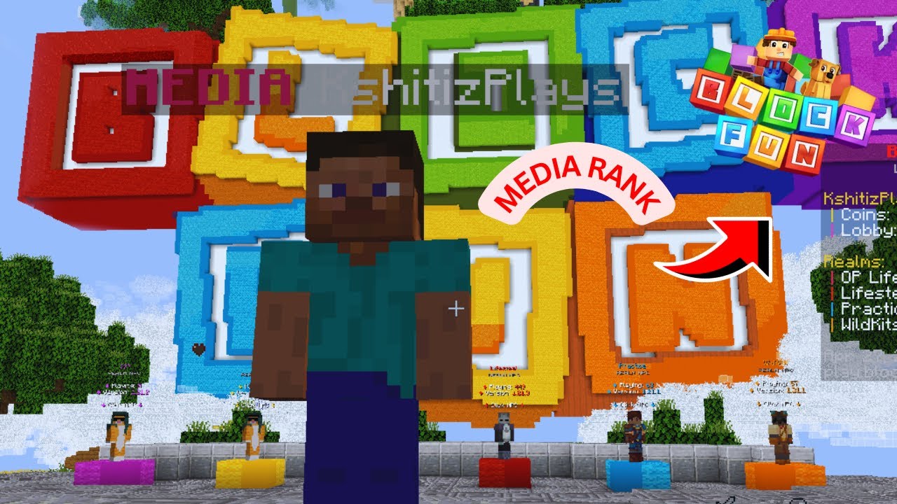 How I Got Media Rank 🎮 In This Minecraft Public Server | BlockFun Media ...