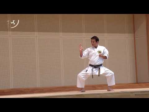 Isshin - Concentration the Art: Wansu Kata – a study in derivative ...