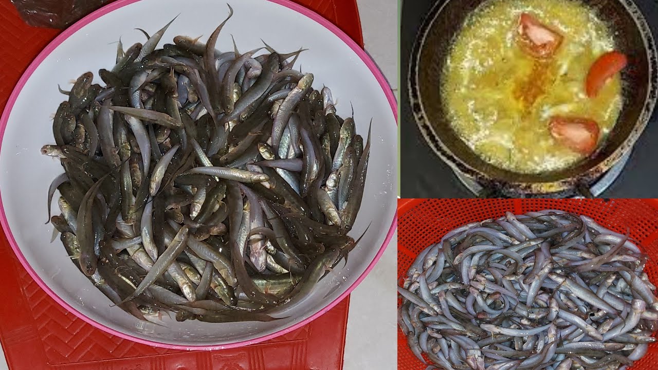 কি এমন মাছ মোর এতো পছন্দ/দগ্রি মাছ কেমনে কাটবেন দেহেন/Rural Village ...