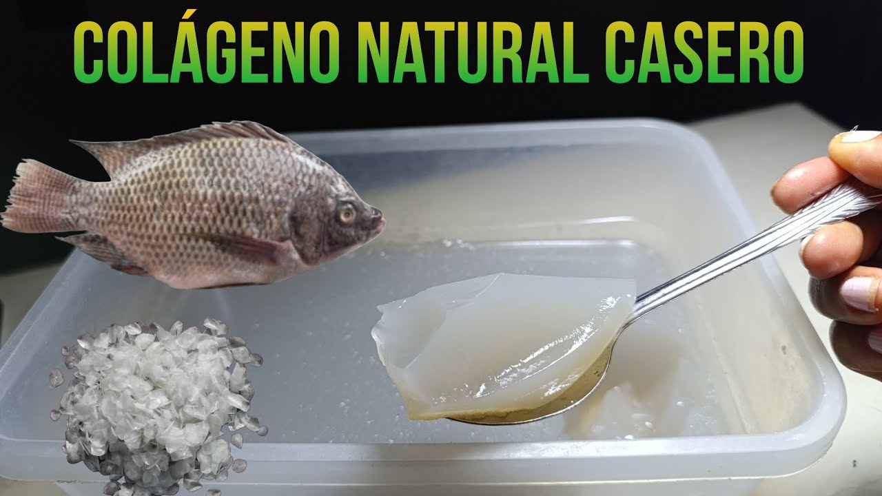 COLÁGENO de ESCAMAS de pescado 100%NATURAL - YouTube