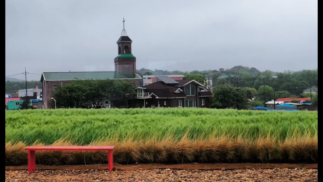 Where the Wind Heals – Cheongbuk Fields at Korea. 4K HDR #KOREA #asmr # ...