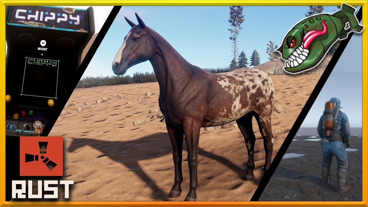 Rust Whats Coming | HDRP, Gestures & Emotes, New Horse Models, Chippy ...