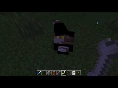 *RARE* Minecraft Fox texture glitch found!!! - YouTube