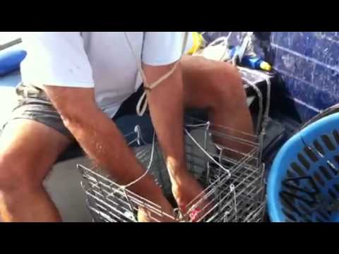 Crabbing 101 with Bill Eichinger and Bob Haugh - YouTube