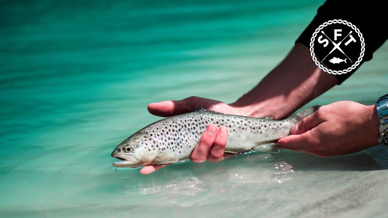 Forellen angeln im Wallis / DJI Mavic Pro / Swiss Fishing team - YouTube